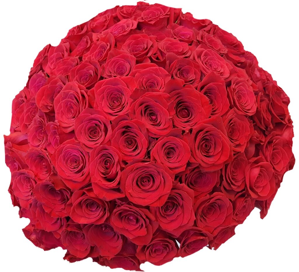 Bouquet 100 Rose rosse - Consegna a Milano Flower delivery